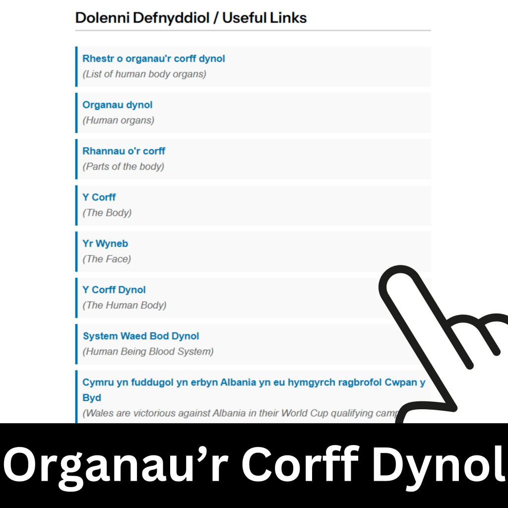 4.283: Organau’r Corff Dynol (Organs Of The Human Body) - LEARN WELSH ...